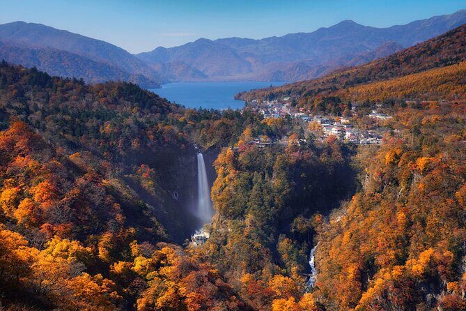 From Tokyo Private Trip to Nikko - Breaking Down the Itinerary and Experience