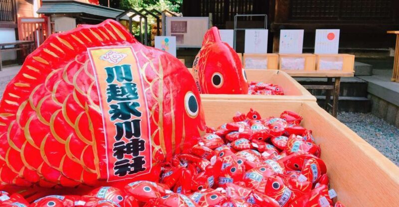 From Tokyo: Round-Trip Fare to Kawagoe City - Key Points