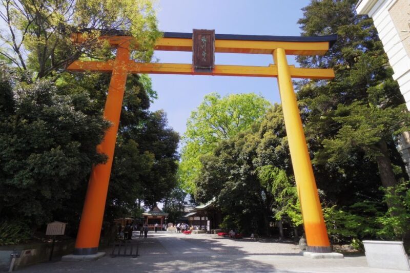 From Tokyo: Round-Trip Fare to Kawagoe City - What Travelers Say