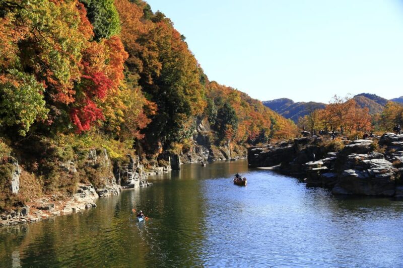 From Tokyo: Seibu Railway 1 Day Pass and Nagatoro - Why This Tour Offers Great Value