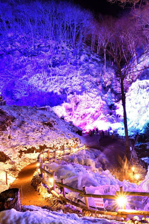 From Tokyo: Seibu Railway 1 Day Pass and Nagatoro - FAQs