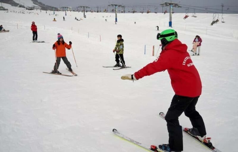 From Tokyo Skiing Day Tour: Niigata Iwappara Ski Resort - Activities for Every Snow Lover
