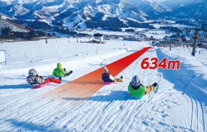 From Tokyo Skiing Day Tour: Niigata Iwappara Ski Resort - Value and Pricing: What You Get