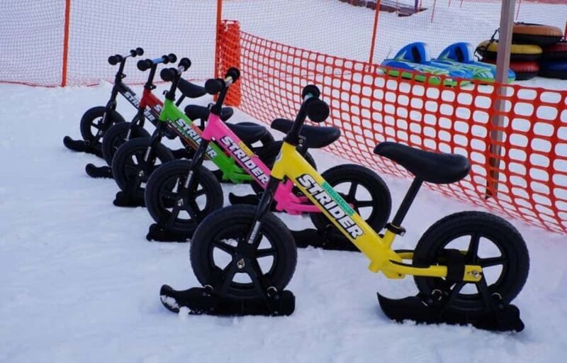 From Tokyo Skiing Day Tour: Niigata Iwappara Ski Resort - Authentic Experience and Scenic Highlights