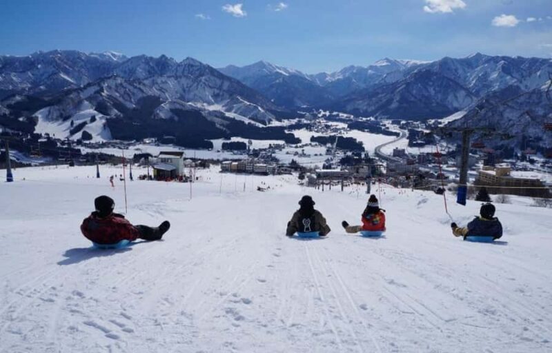 From Tokyo Skiing Day Tour: Niigata Iwappara Ski Resort - Who Should Consider This Tour?