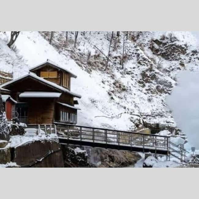From Tokyo: Snow Monkey Park and Miso Production Day Tour - An Authentic Day in Nagano’s Natural and Cultural Heart