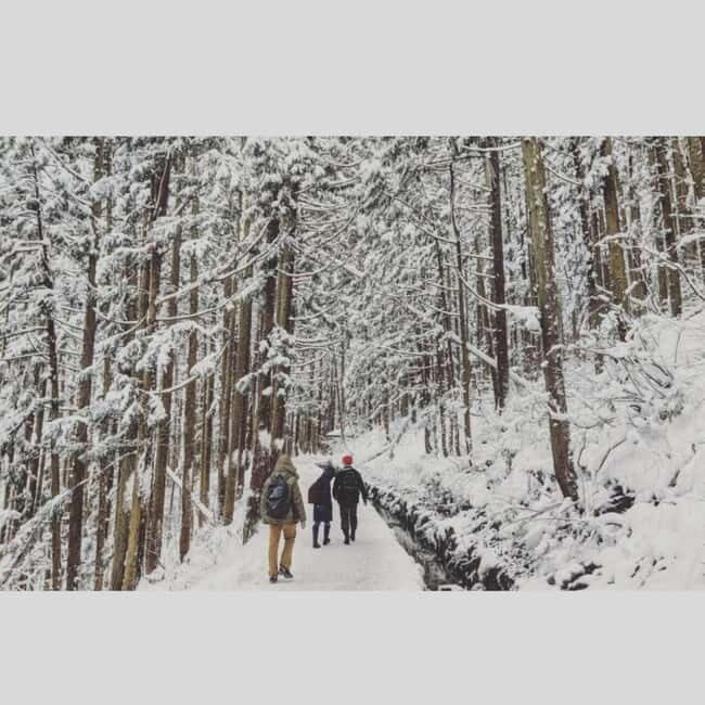From Tokyo: Snow Monkey Park and Miso Production Day Tour - Final Thoughts