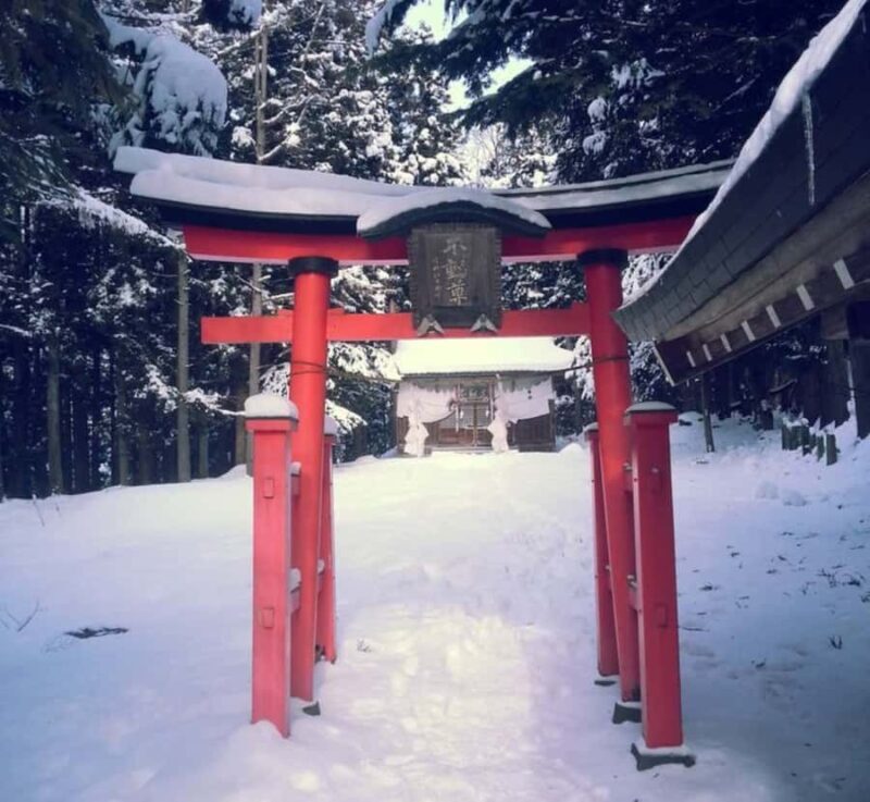 From Tokyo: Snow Monkey & Zenko-ji Temple Private Tour - Who Should Consider This Tour?