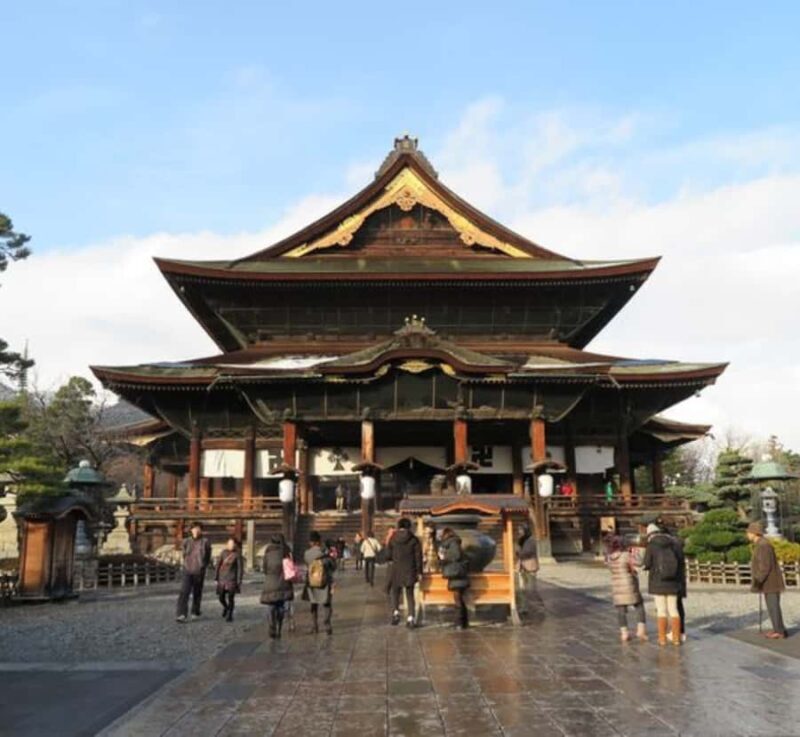From Tokyo: Snow Monkey & Zenko-ji Temple Private Tour - Final Thoughts