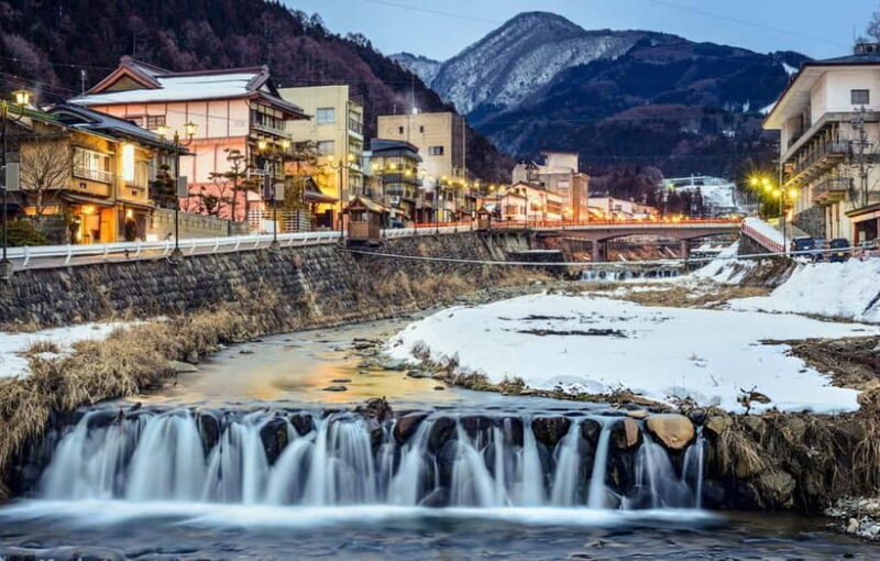 From Tokyo: Snow Monkeys and Zenkoji Temple Day Trip - Value for Money