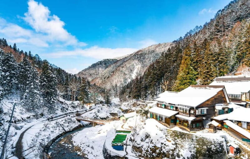 From Tokyo: Snow Monkeys and Zenkoji Temple Day Trip - Final Thoughts