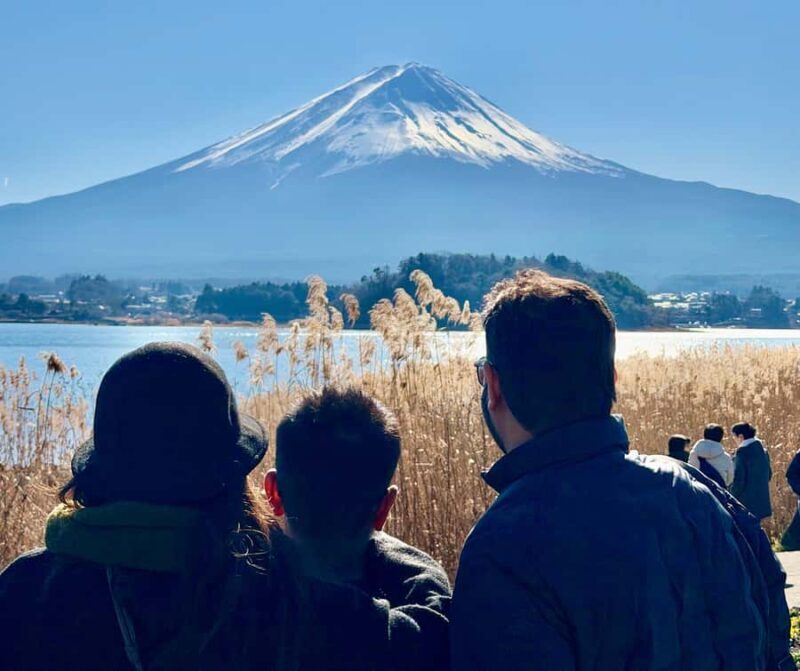 From Tokyo: Tailor-Made Fuji Private Tour: Culture & Views - Why This Tour Offers Great Value