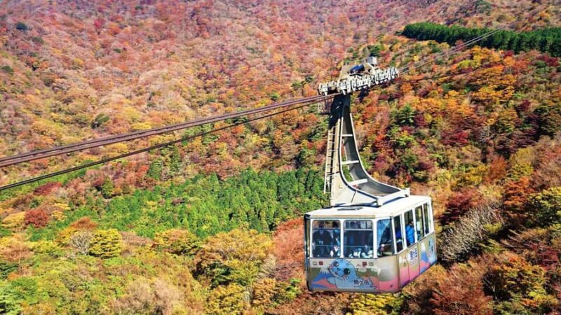From Tokyo to Hakone: Train Tickets and Hakone Free Pass - Key Points