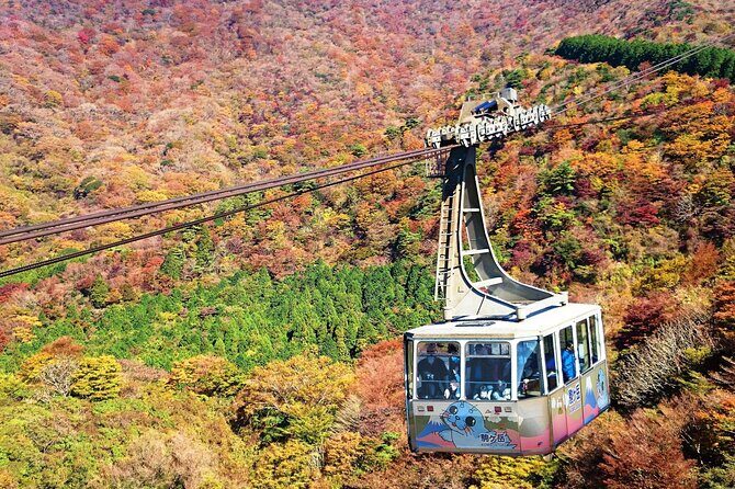 From Tokyo to Hakone: Train Tickets and Hakone Free Pass - Key Points