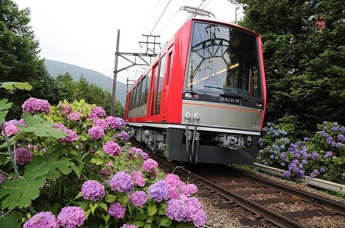 From Tokyo to Hakone: Train Tickets and Hakone Free Pass - FAQ