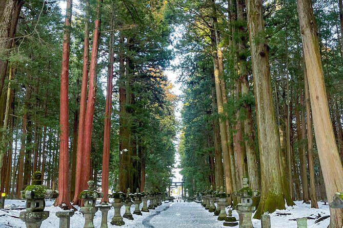 From Tokyo to Mount Fuji! Private Car Tour by Eng Speaking Driver - What the Tour Includes — Value and Comfort Factors