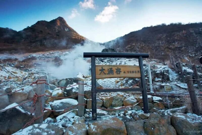 From Tokyo to Mt.Fuji Hakone: Ropeway,Lake Ashi and Volcano - Who Will Love This Tour?