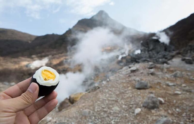 From Tokyo to Mt.Fuji Hakone: Ropeway,Lake Ashi and Volcano - FAQ