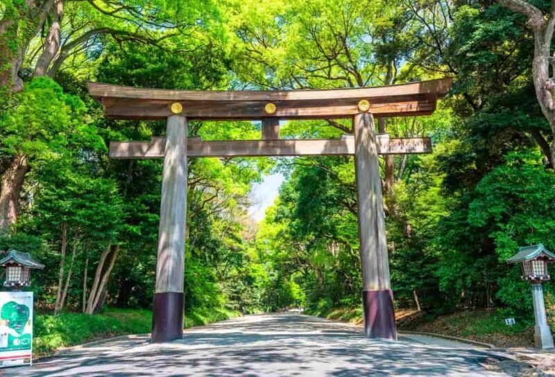 From Tokyo: Tokyo City One-Day Private Tour with Guide - Key Points