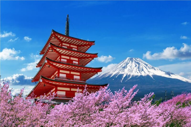 From Tokyo: Tokyo, Kyoto, Osaka, & Nikko Private 7-Day Tour - Key Points