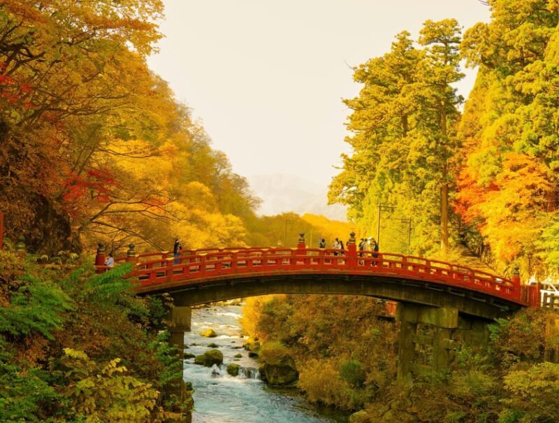 From Tokyo: Tokyo, Kyoto, Osaka, & Nikko Private 7-Day Tour - Exploring Japan in Style and Comfort