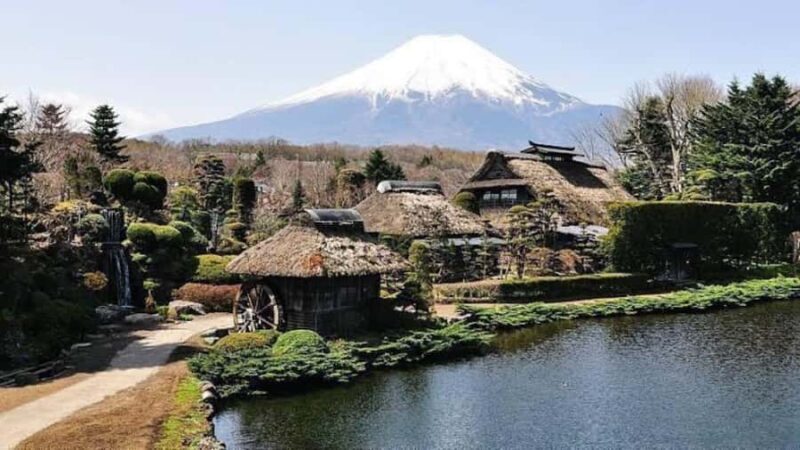 From Tokyo: Tokyo Private Tour with Temples & Towers - Pricing and Value
