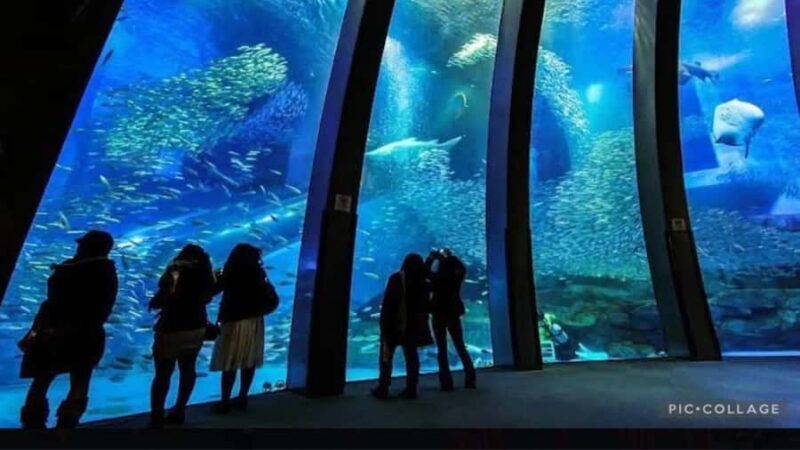 From Tokyo: Yokohama and Tokyo Private Day Tour with Guide - An In-Depth Look at the Tour Experience