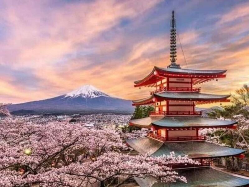 From Tokyo:Mount Fuji Full Customize Tour With English Guide - The Value of a Private, Fully Customizable Tour