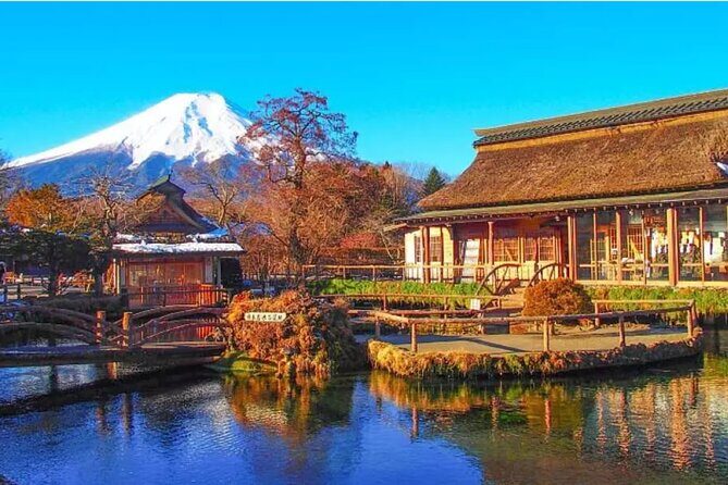 From Tokyo:Mount Fuji Lake Kawaguchi, Oshino Hakkai,Shrine Tour - Transportation and Logistics