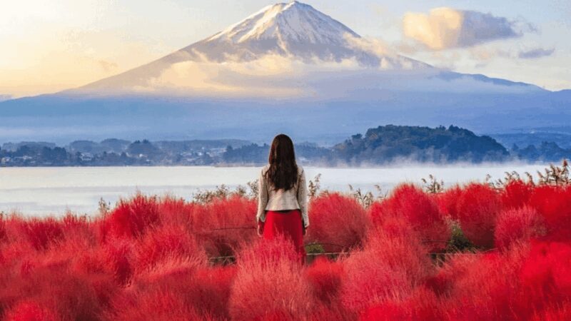 From Tokyo:Mount Fuji Private Customizable Tour With English - Real Traveler Perspectives