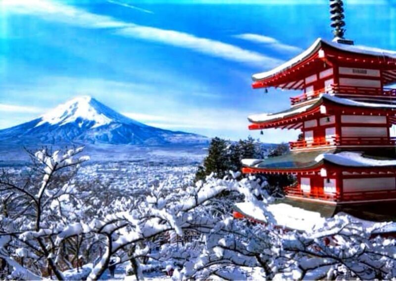 From Tokyo:Mount Fuji Private Customizable Tour With English - The Sum Up