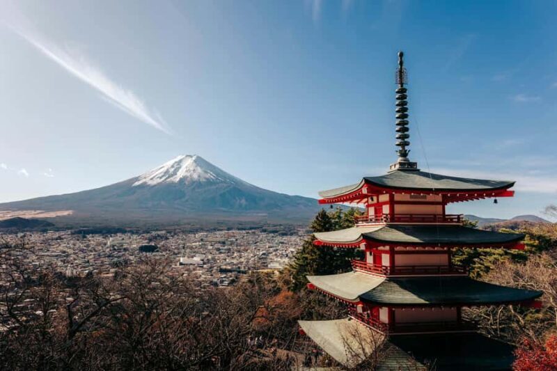 From Tokyo:Mount Fuji Private & Customizable Tour with guide - An In-Depth Look at the Tour Experience