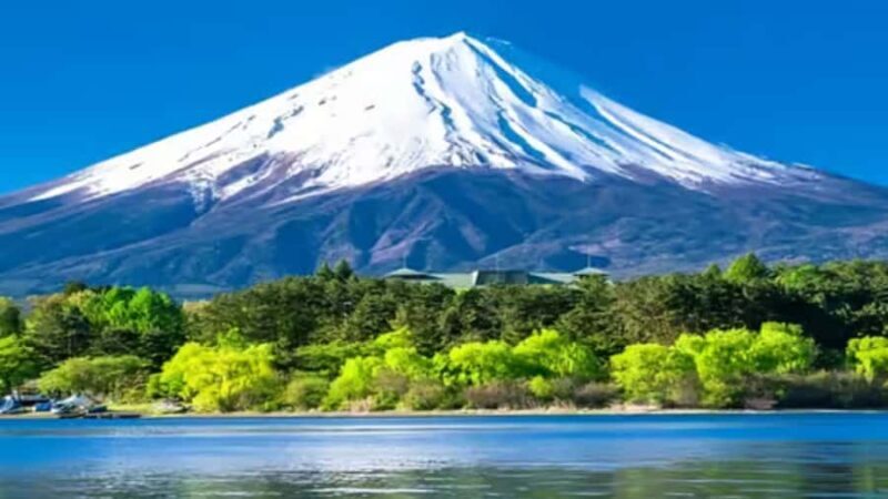 From Tokyo:Mount Fuji Private & Customizable Tour with guide - The Sum Up