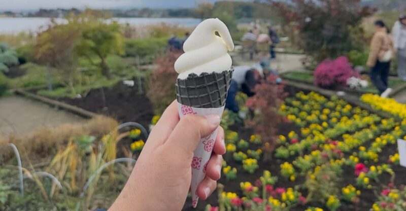 From Tokyo:Mount Fuji private day tour with English driver - How Is the Transportation?