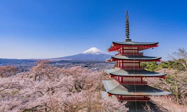 From Tokyo:Mt.Fuji &Hakone Trip with English Speaking guide - Key Points