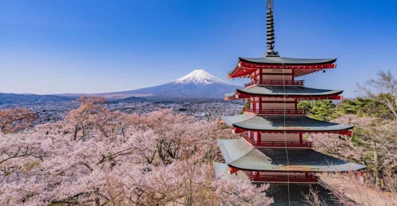 From Tokyo:Mt.Fuji &Hakone Trip with English Speaking guide - The Highlights We Loved