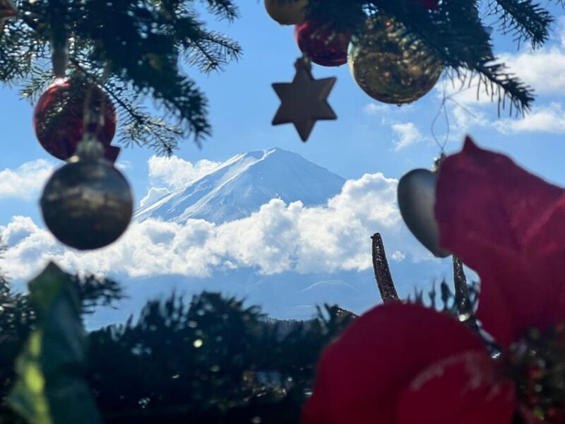 From Tokyo:Mt.Fuji &Hakone Trip with English Speaking guide - The Practicalities