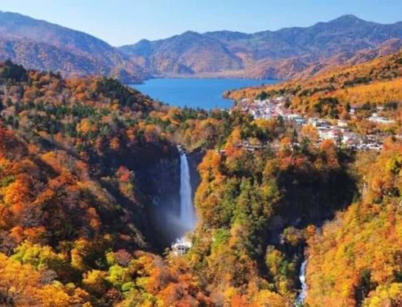 From Tokyo:Nikko World Heritage Customizable Tour with Guide - The Sum Up