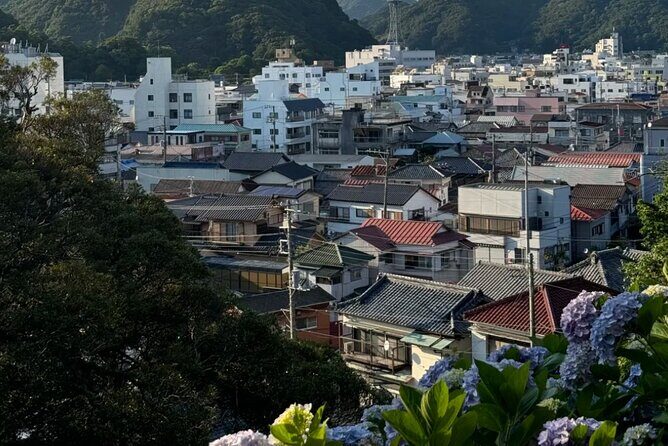 From Tokyo:Private One Day Tour to Izu - Who Is This Tour Best For?