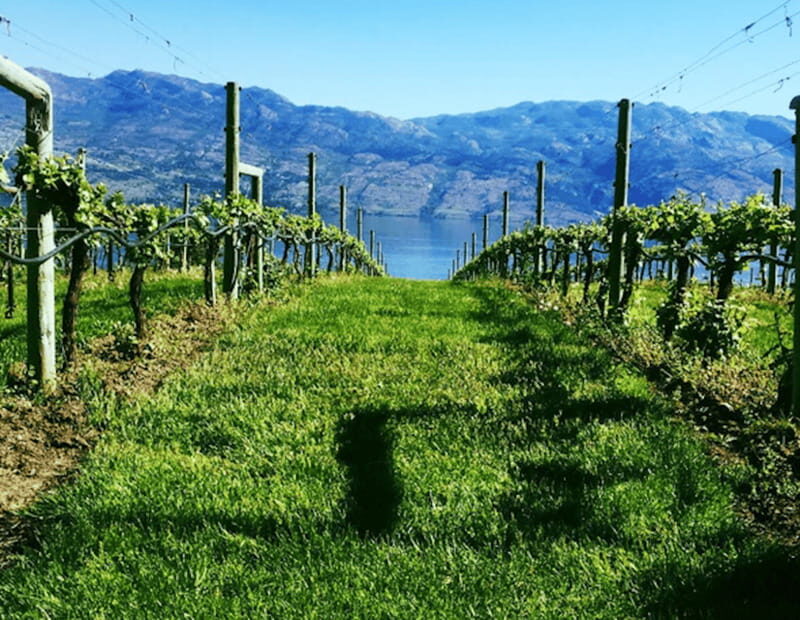 From Toronto: Niagara Wine Tours - FAQ