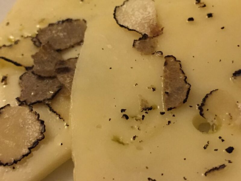 From Tortona: Piedmont Truffle Hunting Experience - Key Points
