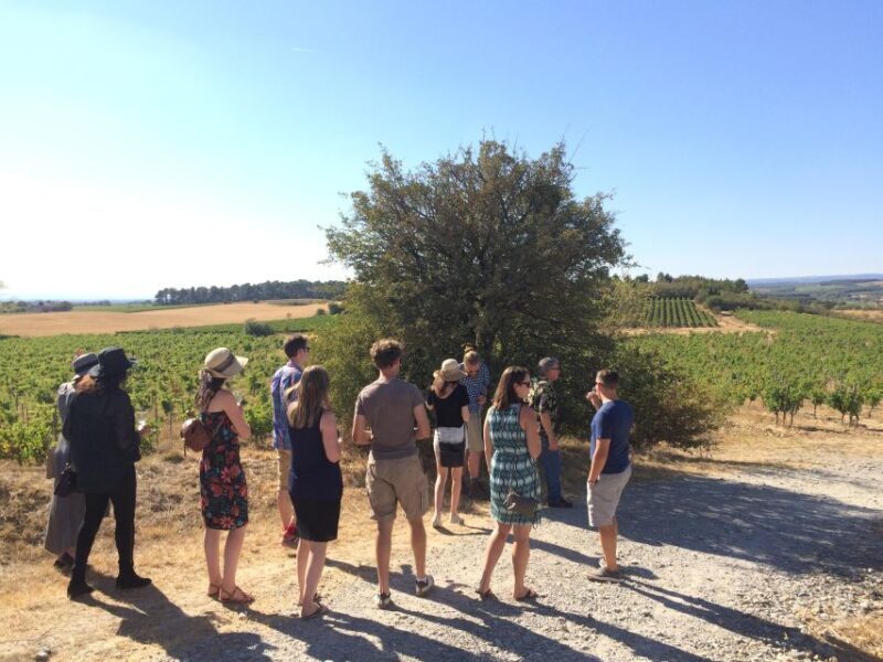 From Toulouse Cite de carcassonne et wine tasting - An Overview of the Day Trip