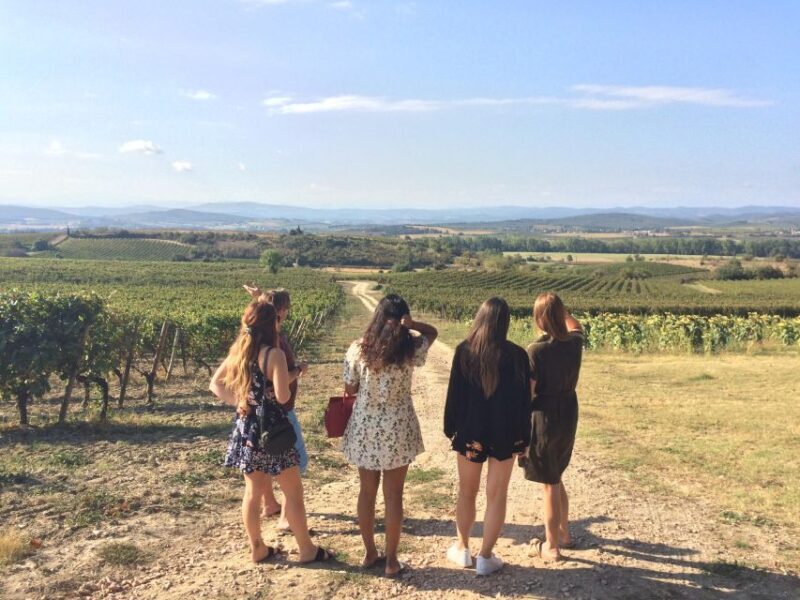 From Toulouse Cite de carcassonne et wine tasting - Who Will Enjoy This Tour?