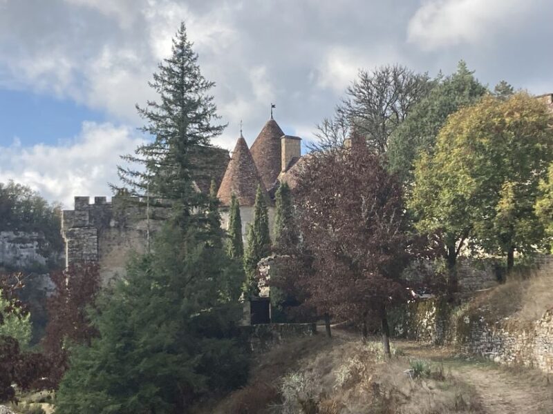 From Toulouse: Peche Merle and Saint Cirq LaPopie Day Trip - Practical Tips for Visitors