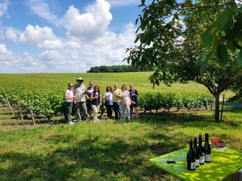 From Tours: Afternoon Loire Valley Wine Tour to Vouvray - Introduction