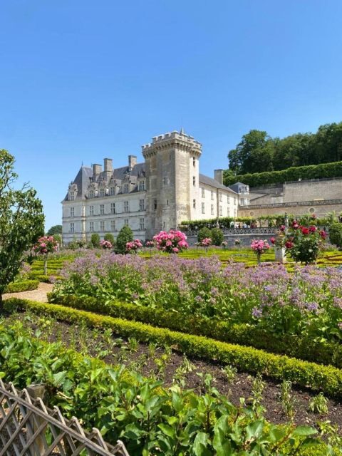 From Tours: Afternoon Loire Valley Wine Tour to Vouvray - Who Should Consider This Tour?