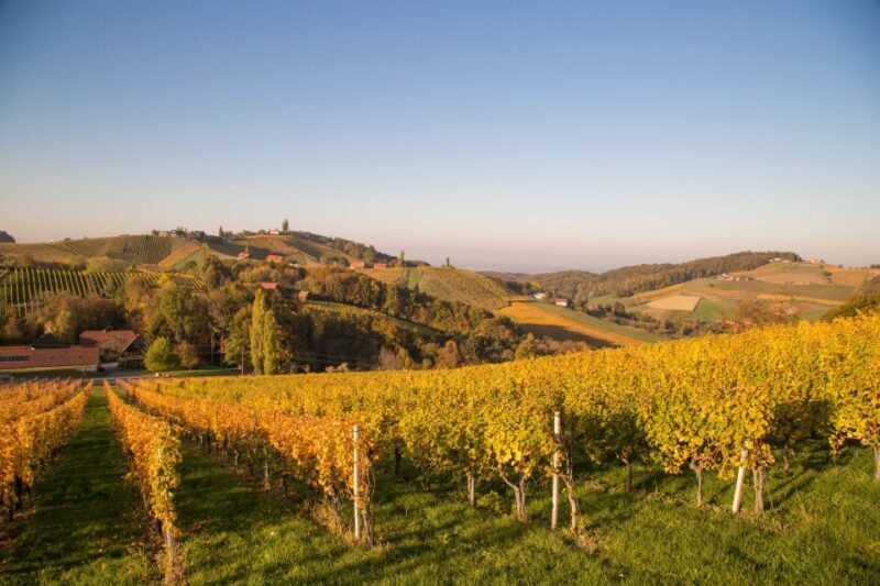 From Tours: Loire Valley Wineries Day Trip with Tastings - The Journey Begins and Transportation