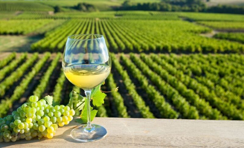 From Tours: Loire Valley Wineries Day Trip with Tastings - The Highlight: Chinon for Its Charm and Cuisine