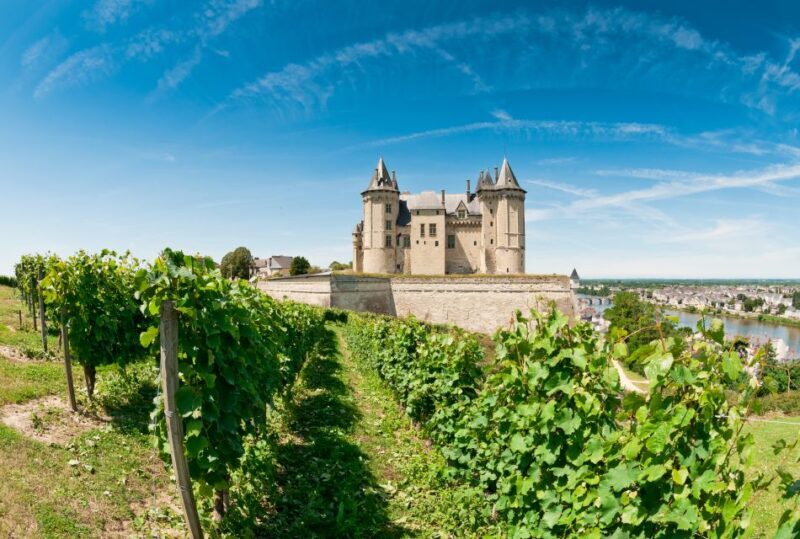 From Tours: Loire Valley Wineries Day Trip with Tastings - Final Stop: Bourgueil for Its Distinct Wines
