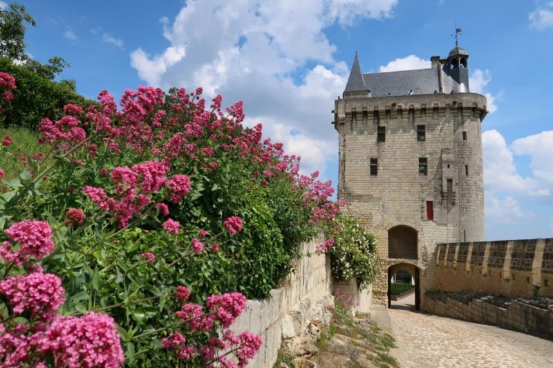 From Tours: Loire Valley Wineries Day Trip with Tastings - Who Would Love This Tour?